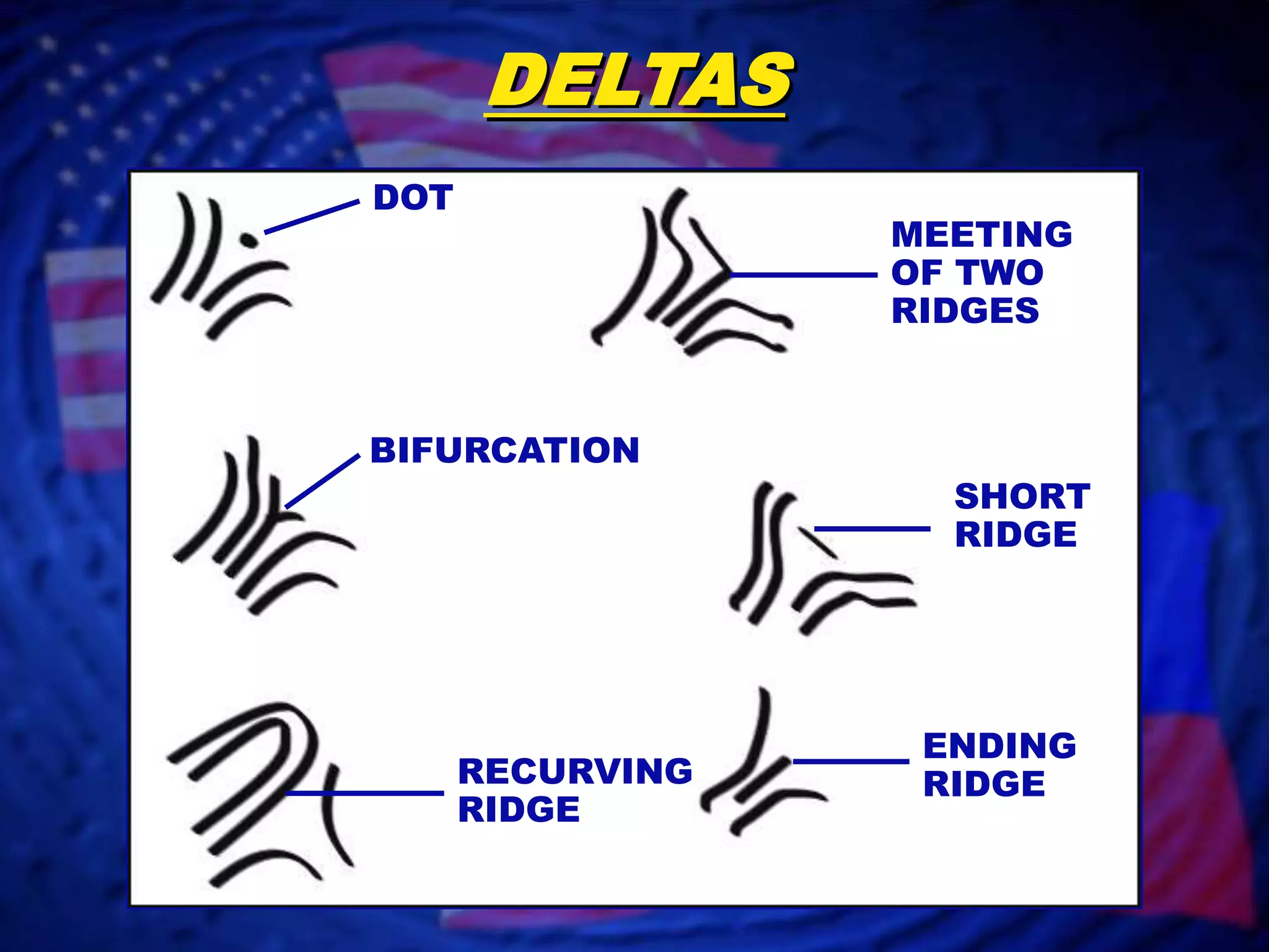 Fingerprint Classification- Loop Patterns | PPTX