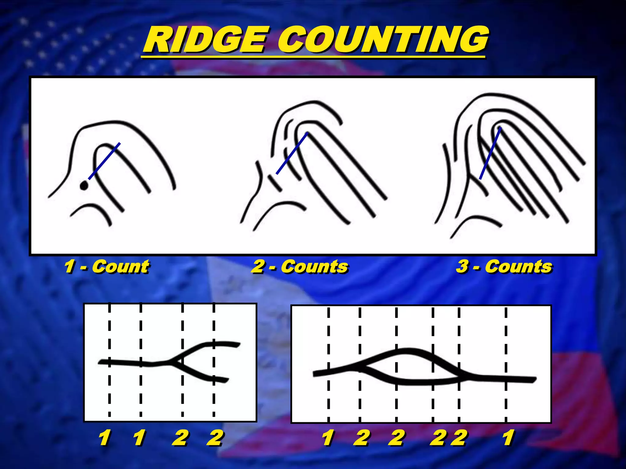 Fingerprint Classification- Loop Patterns | PPTX