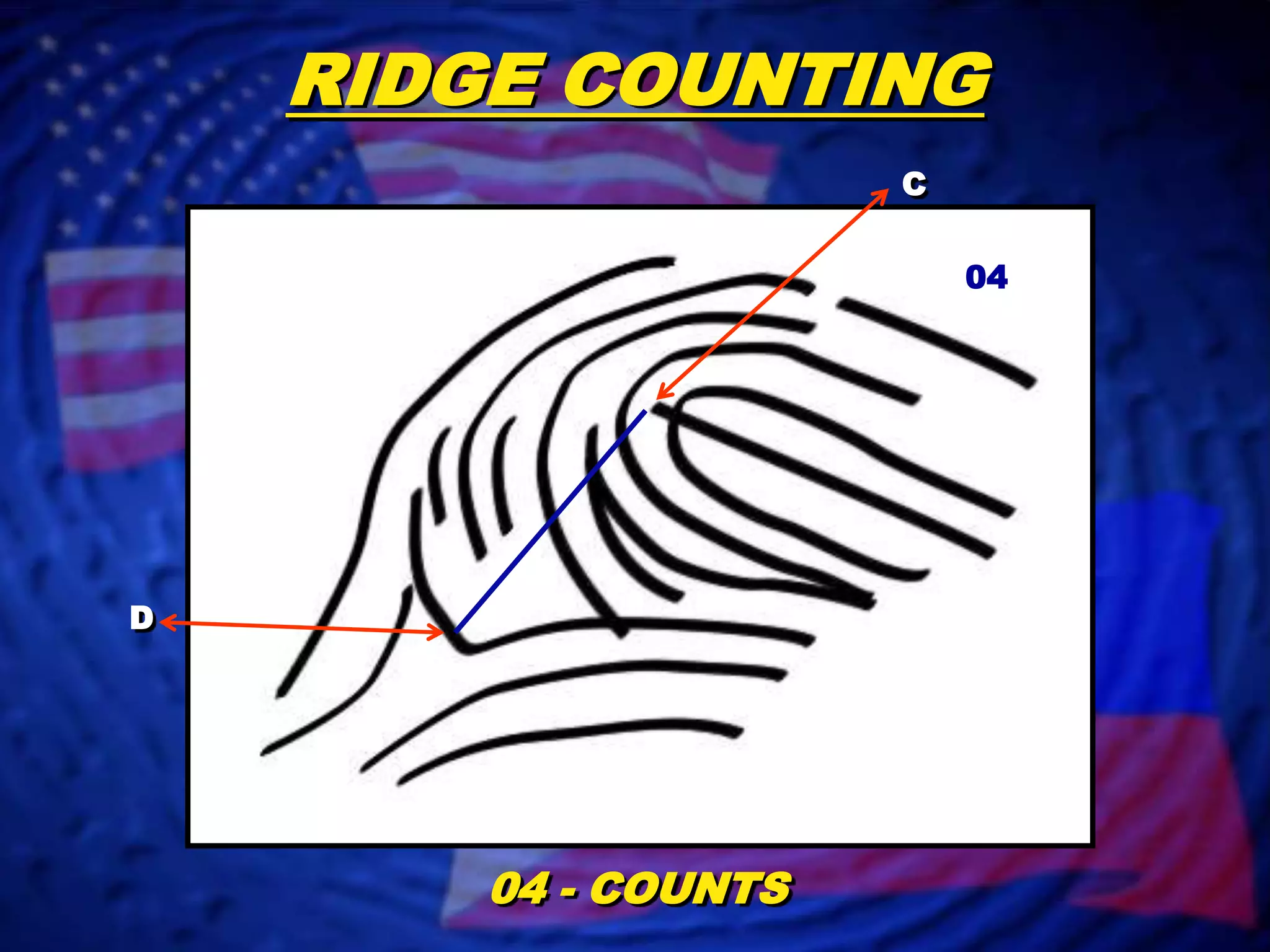 Fingerprint Classification- Loop Patterns | PPTX