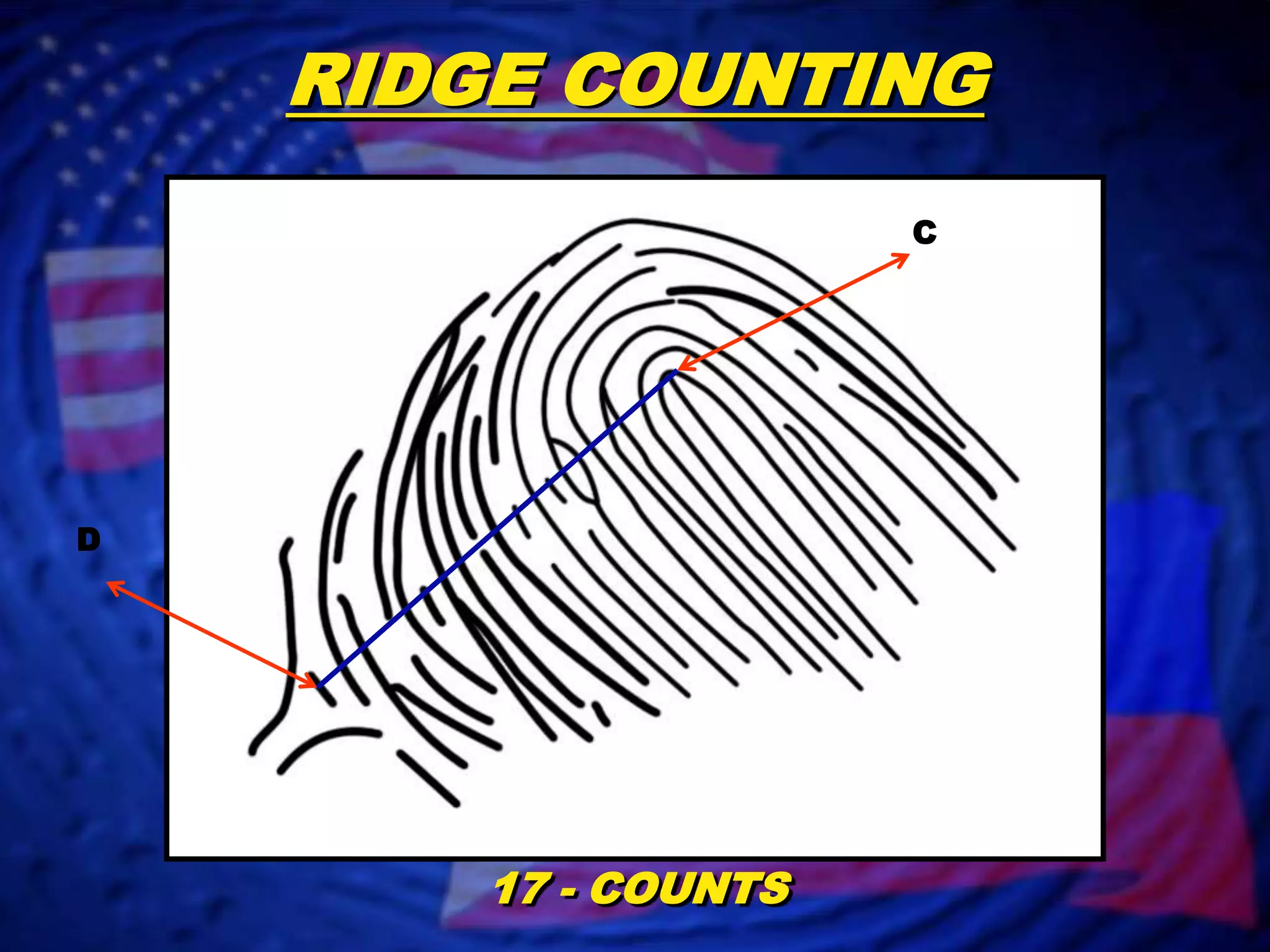 Fingerprint Classification- Loop Patterns | PPTX