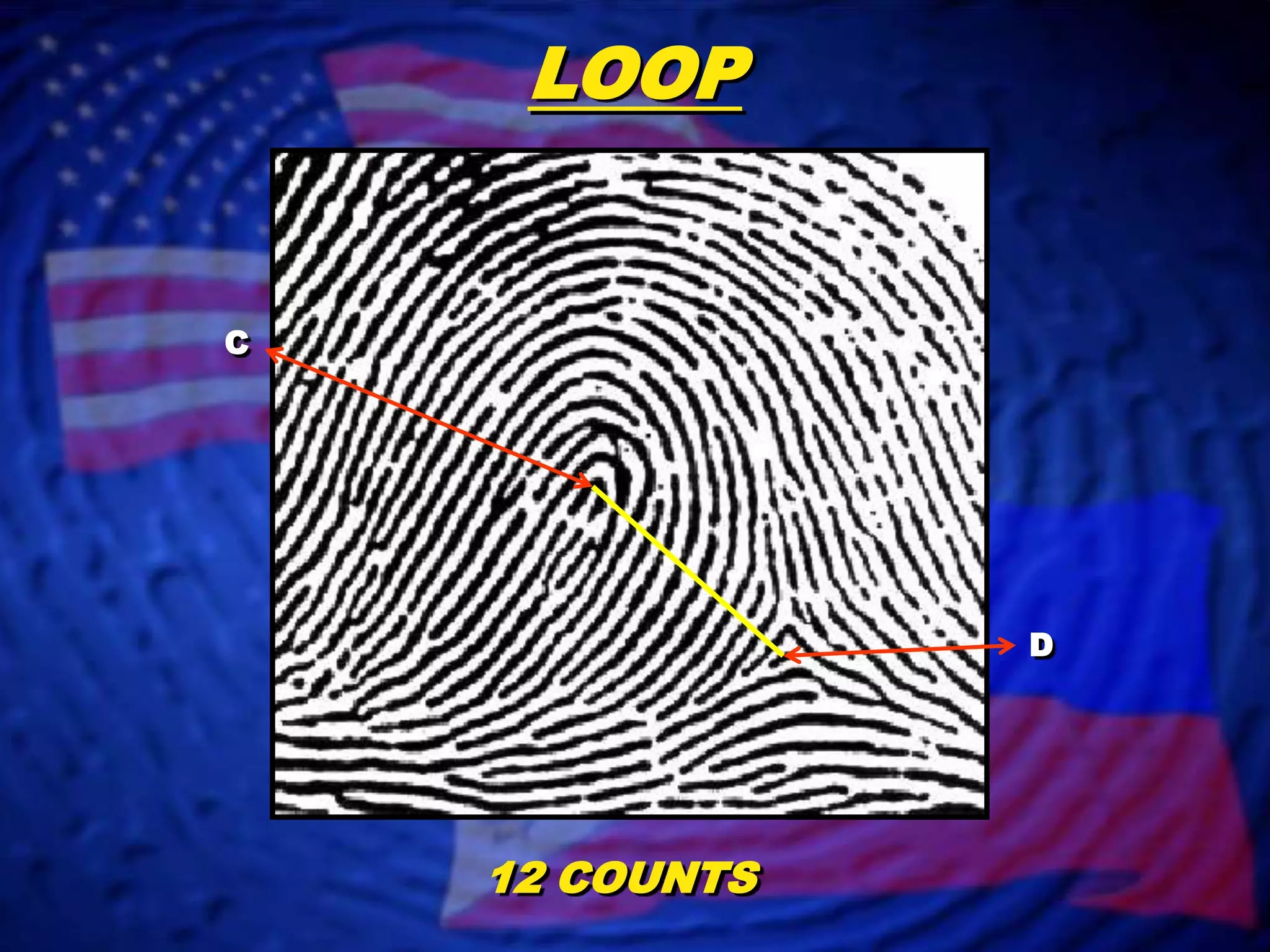 Fingerprint Classification- Loop Patterns | PPTX