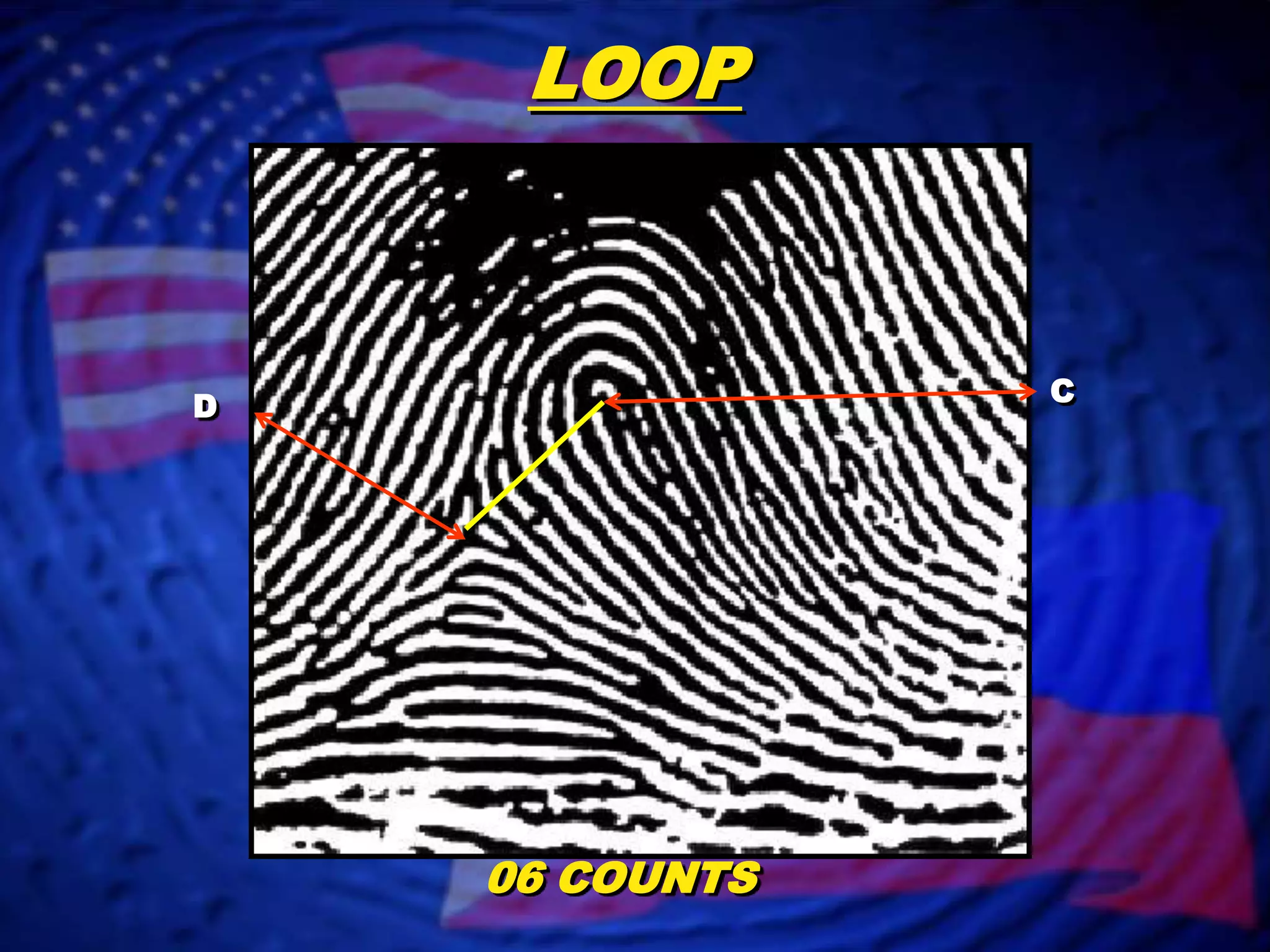 Fingerprint Classification- Loop Patterns | PPTX