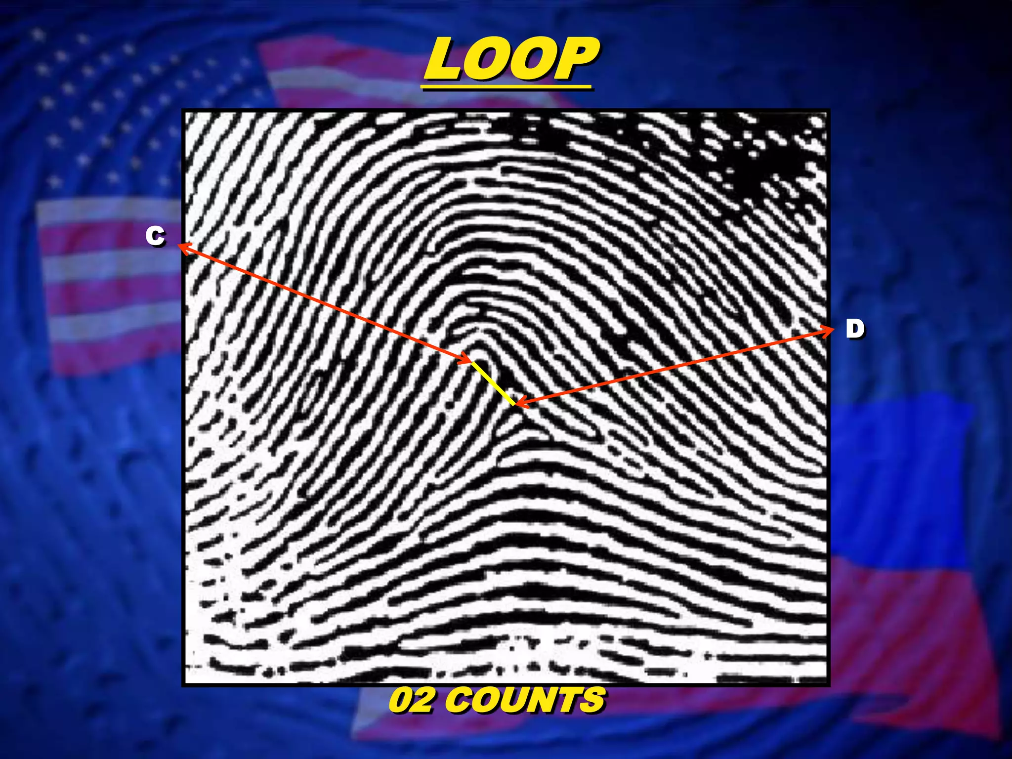 Fingerprint Classification- Loop Patterns | PPTX