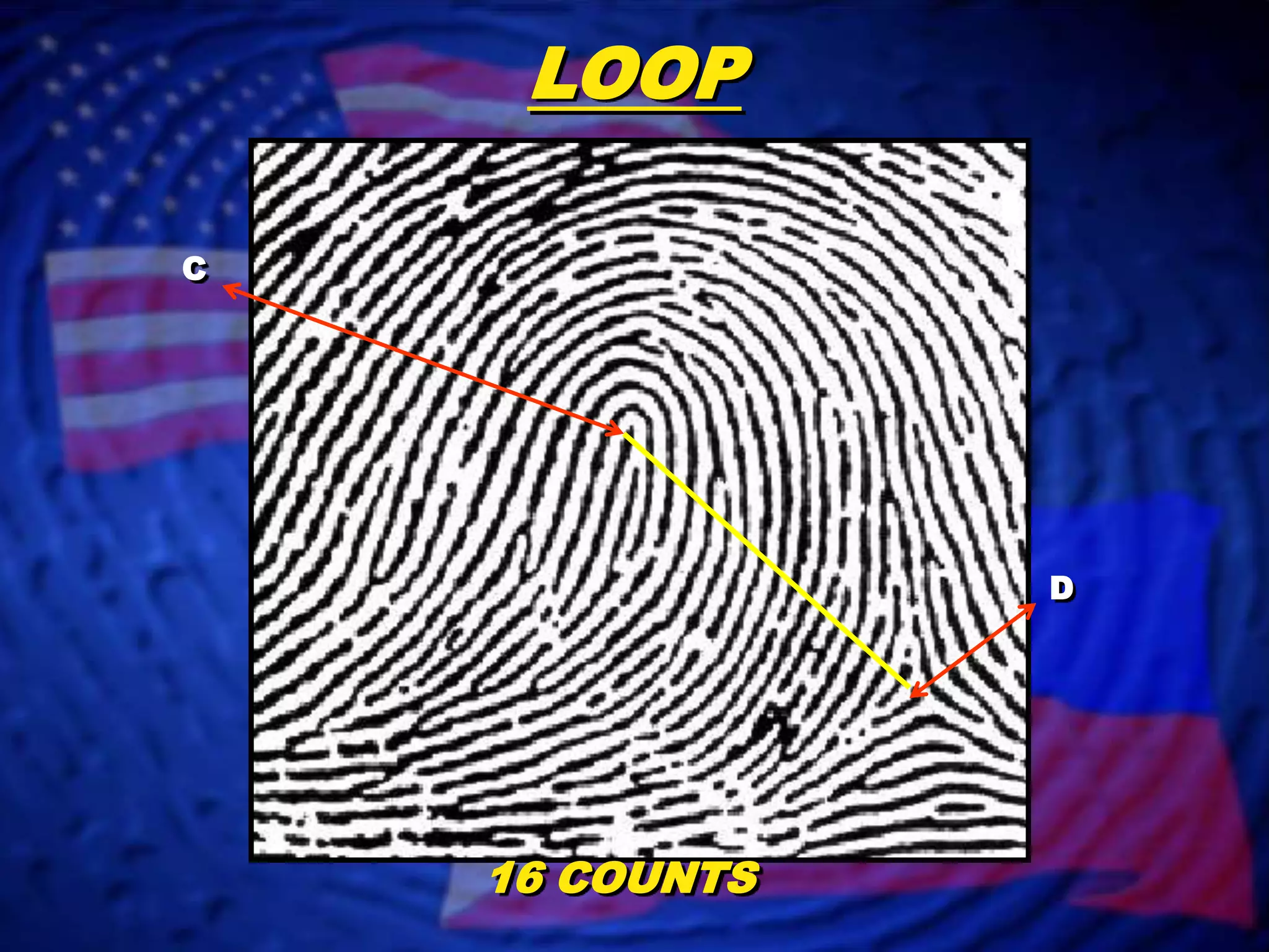 Fingerprint Classification- Loop Patterns | PPTX