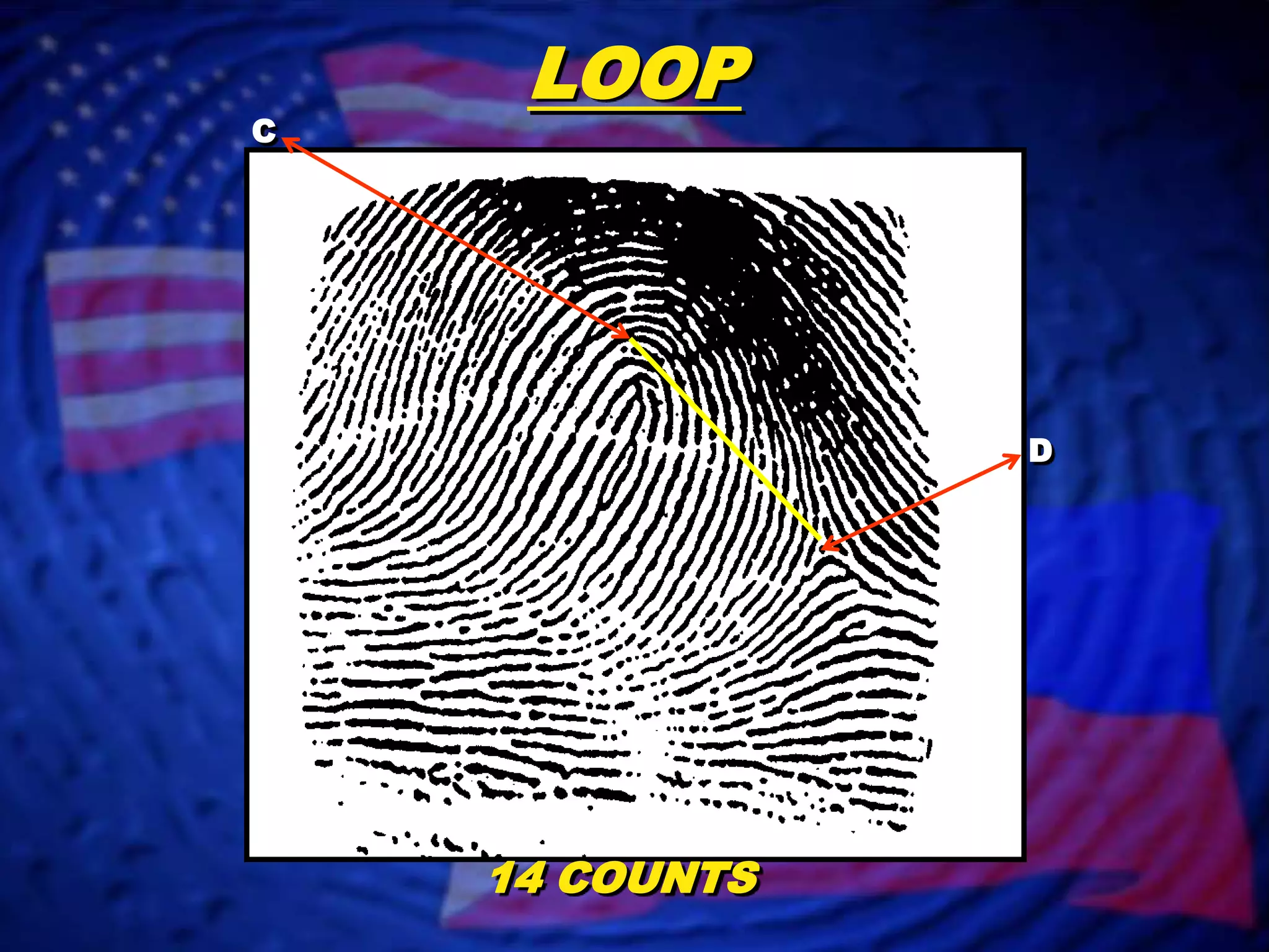Fingerprint Classification- Loop Patterns | PPTX
