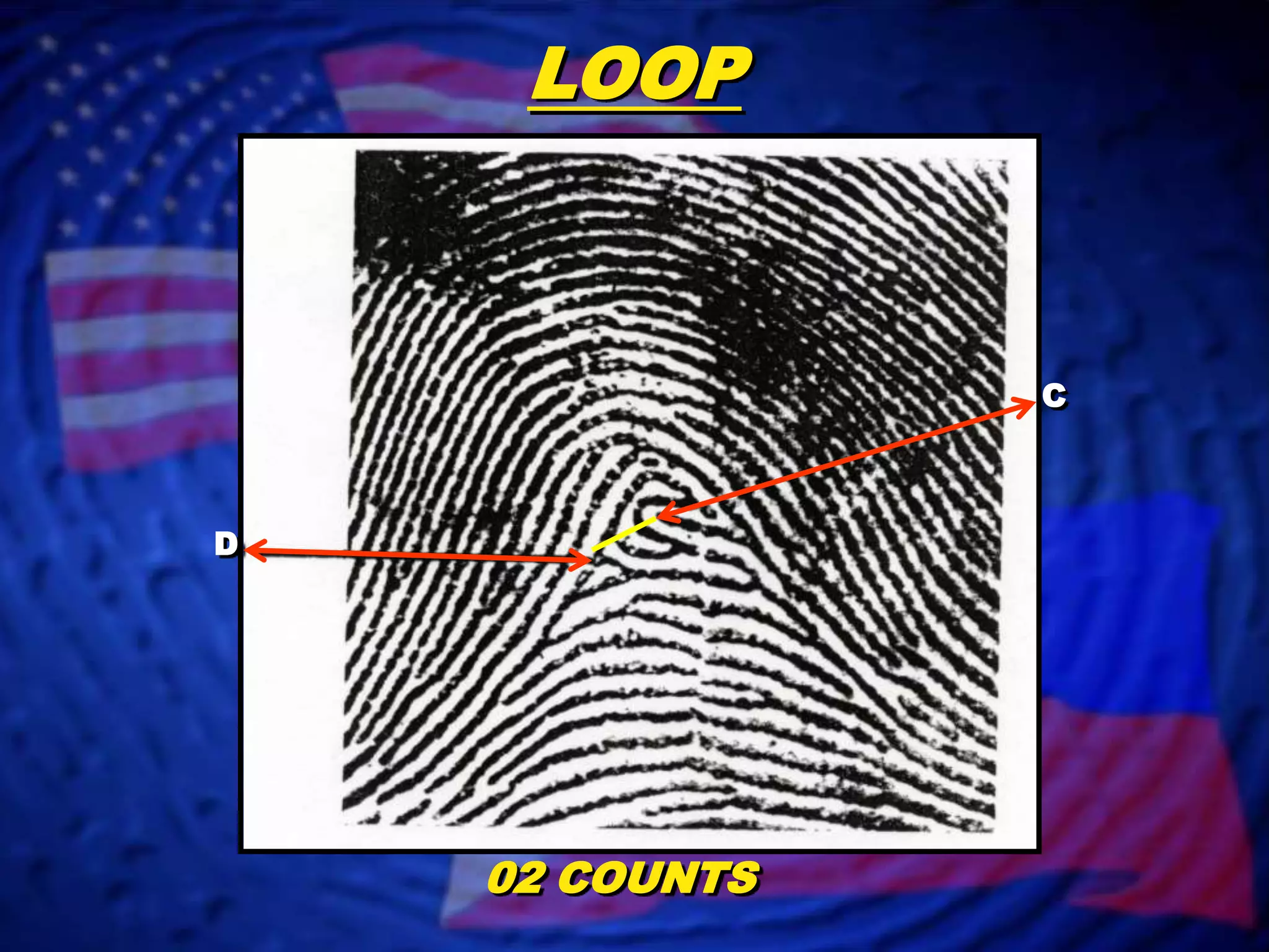 Fingerprint Classification- Loop Patterns | PPTX