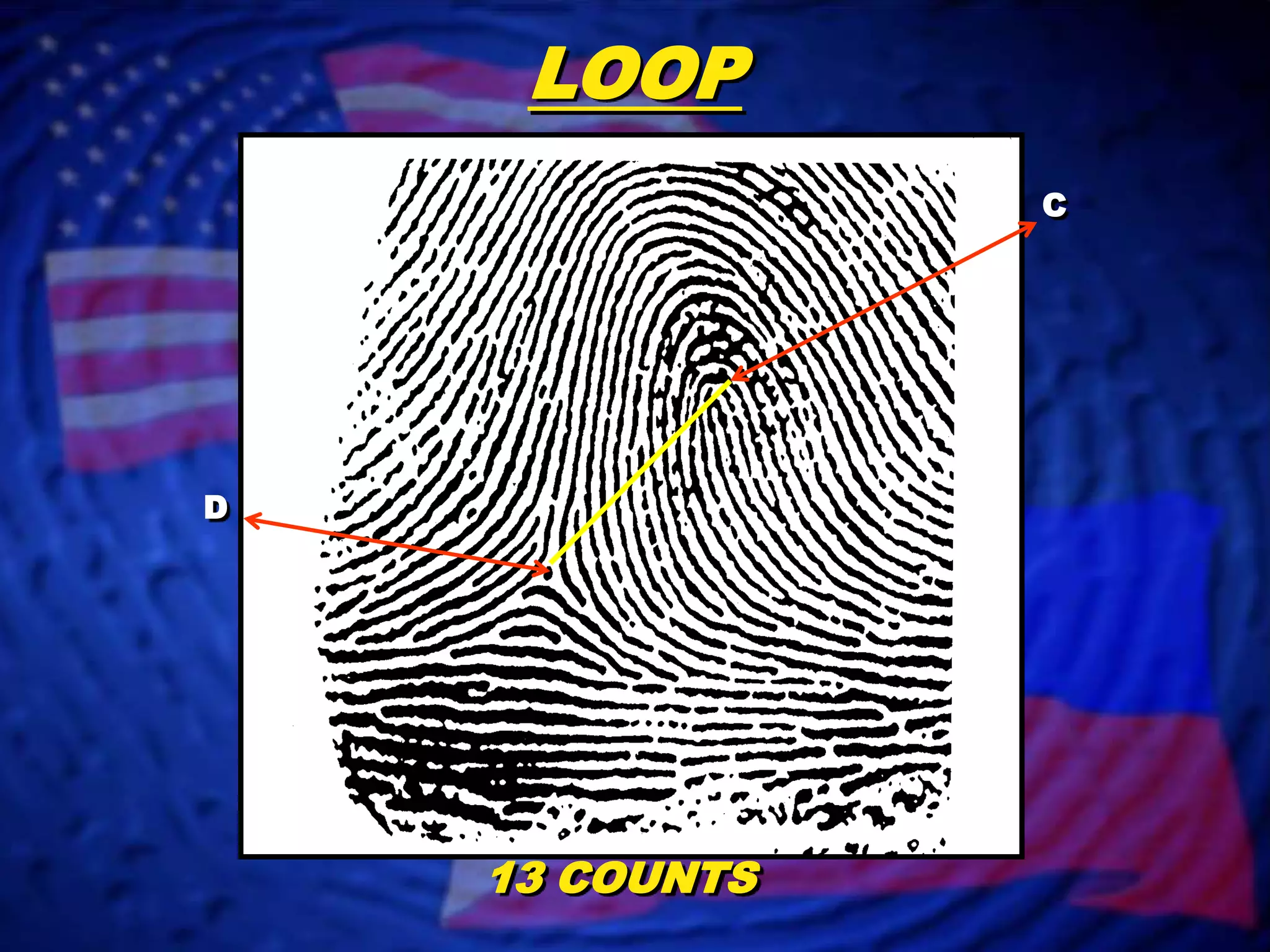 Fingerprint Classification- Loop Patterns | PPTX
