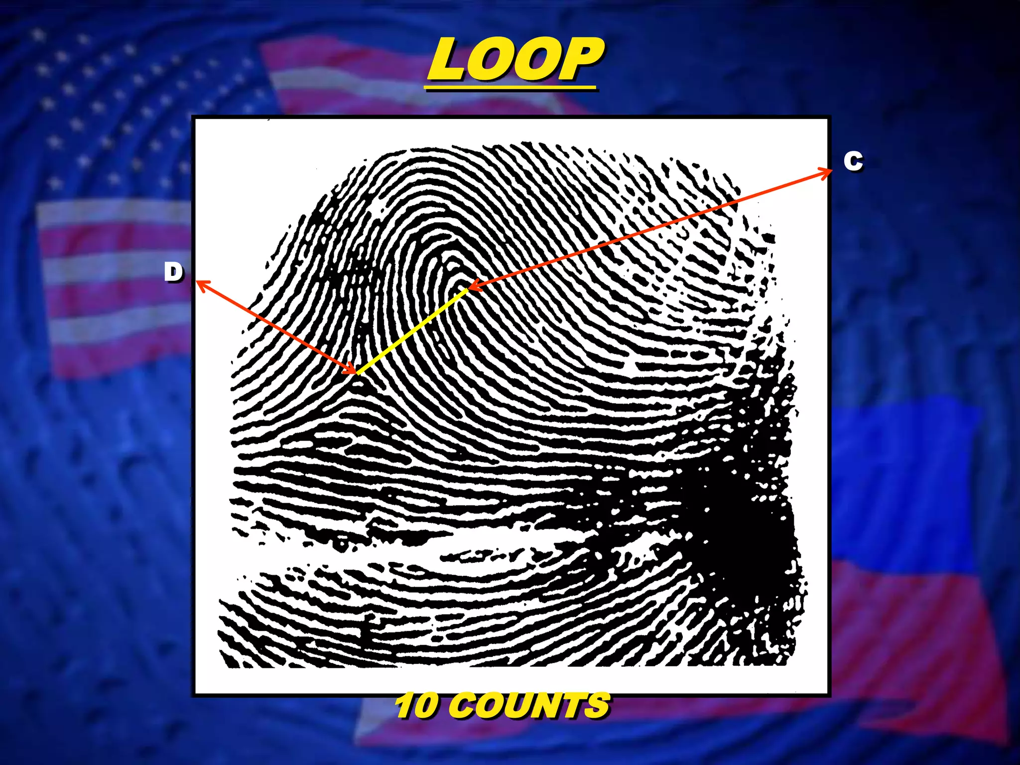 Fingerprint Classification- Loop Patterns | PPTX