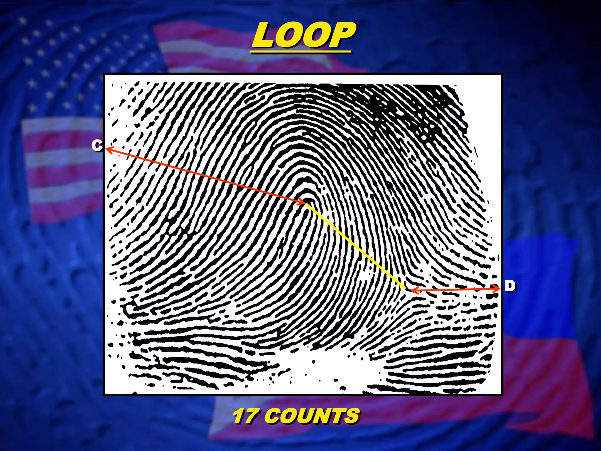 Fingerprint Classification- Loop Patterns | PPTX