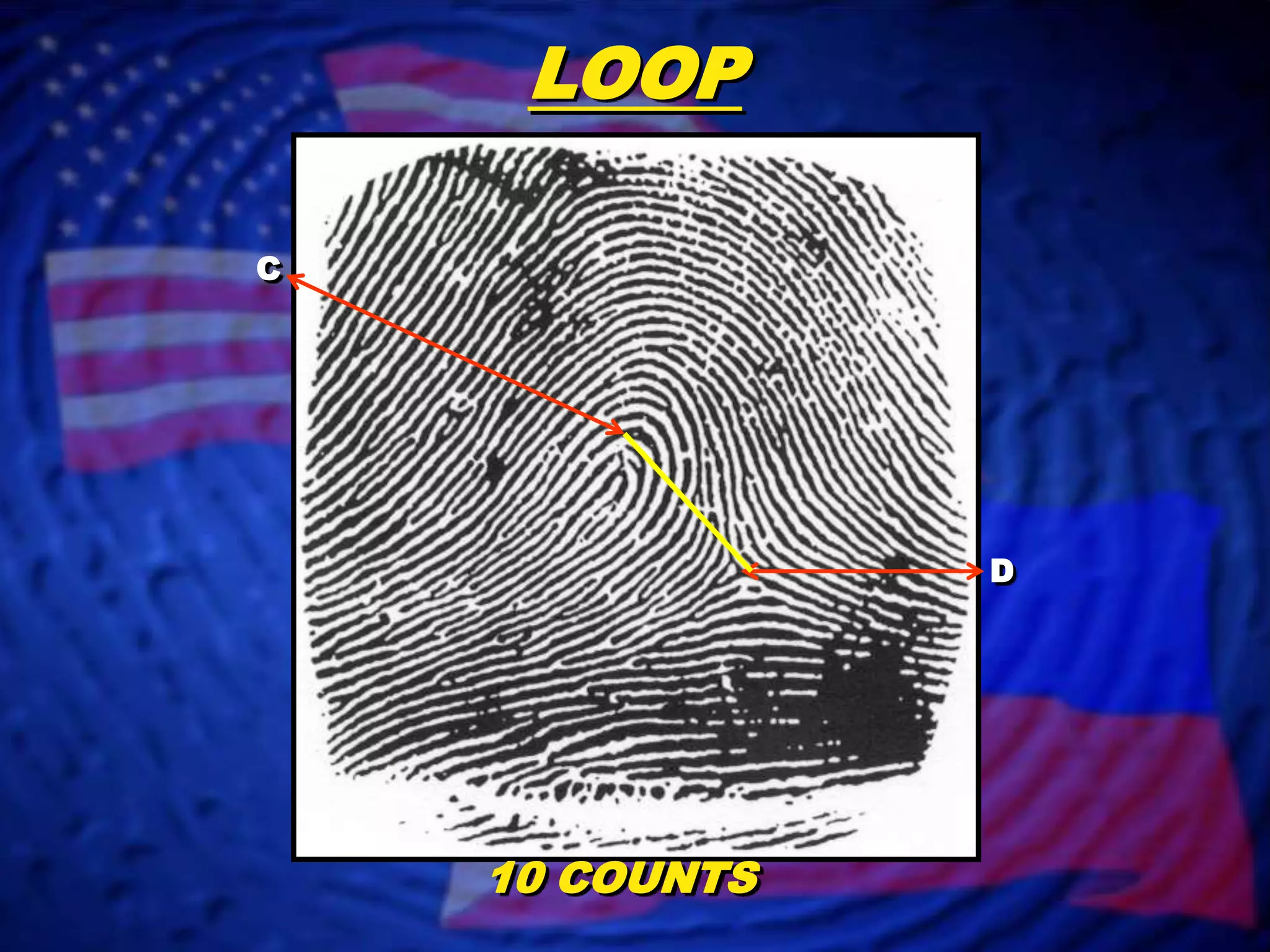 Fingerprint Classification- Loop Patterns | PPTX Fingerprint Classification- Loop Patterns | PPTX