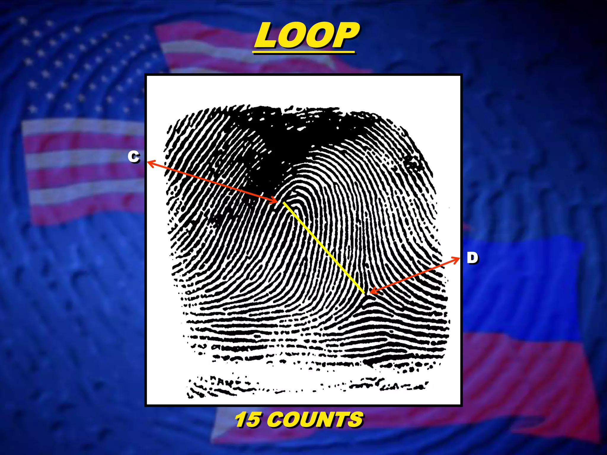 Fingerprint Classification- Loop Patterns | PPTX