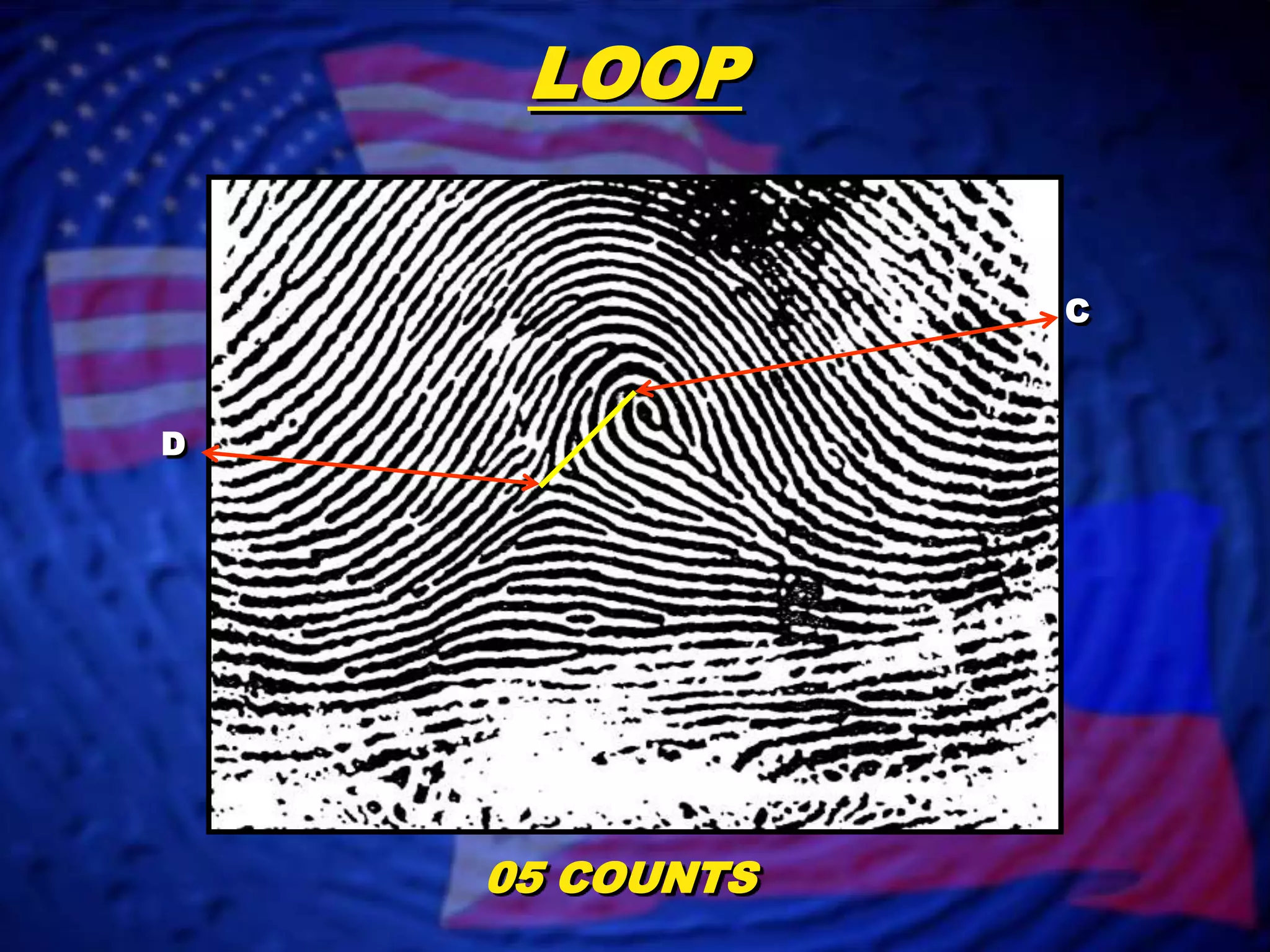 Fingerprint Classification- Loop Patterns | PPTX