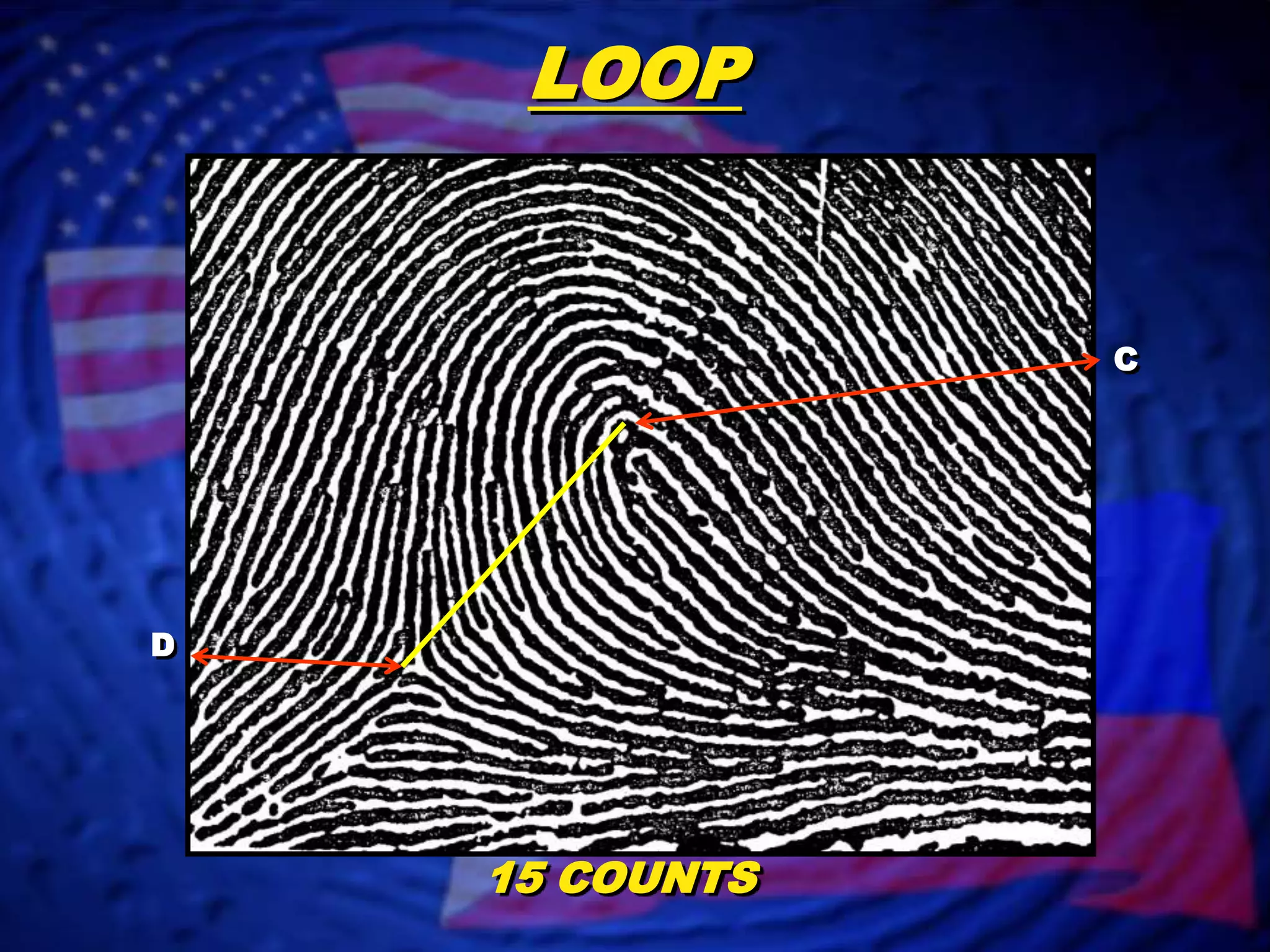 Fingerprint Classification- Loop Patterns | PPTX