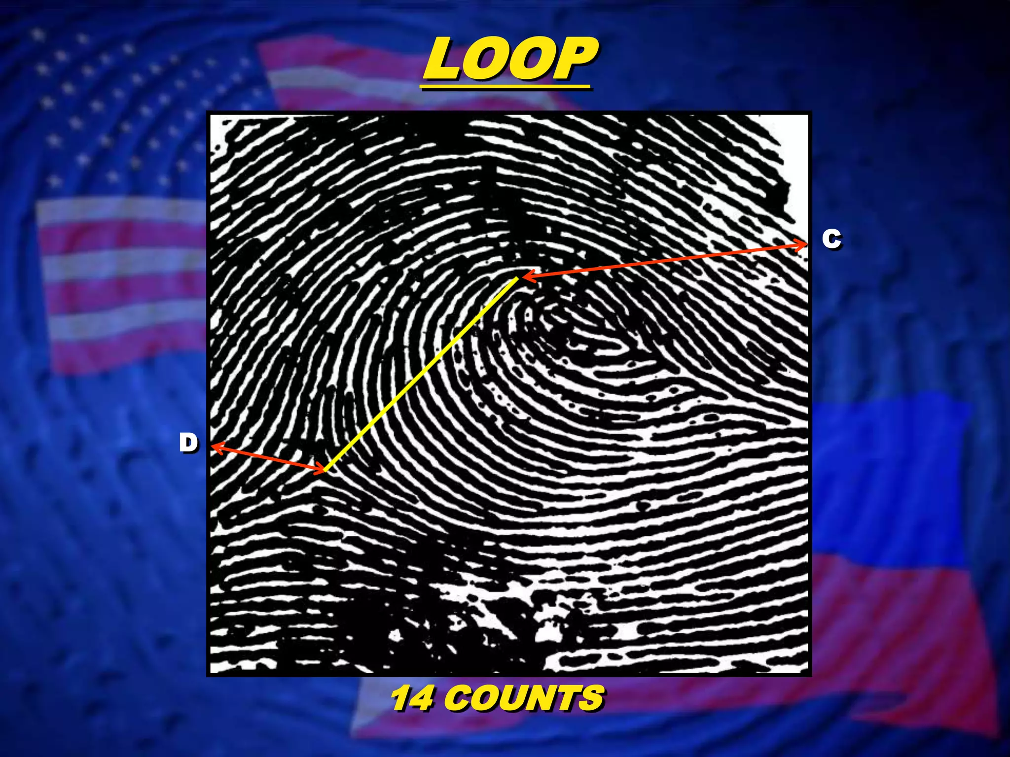 Fingerprint Classification- Loop Patterns | PPTX