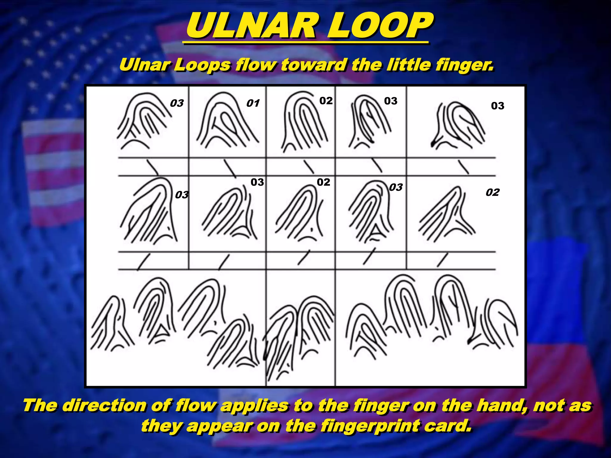 Fingerprint Classification- Loop Patterns | PPTX