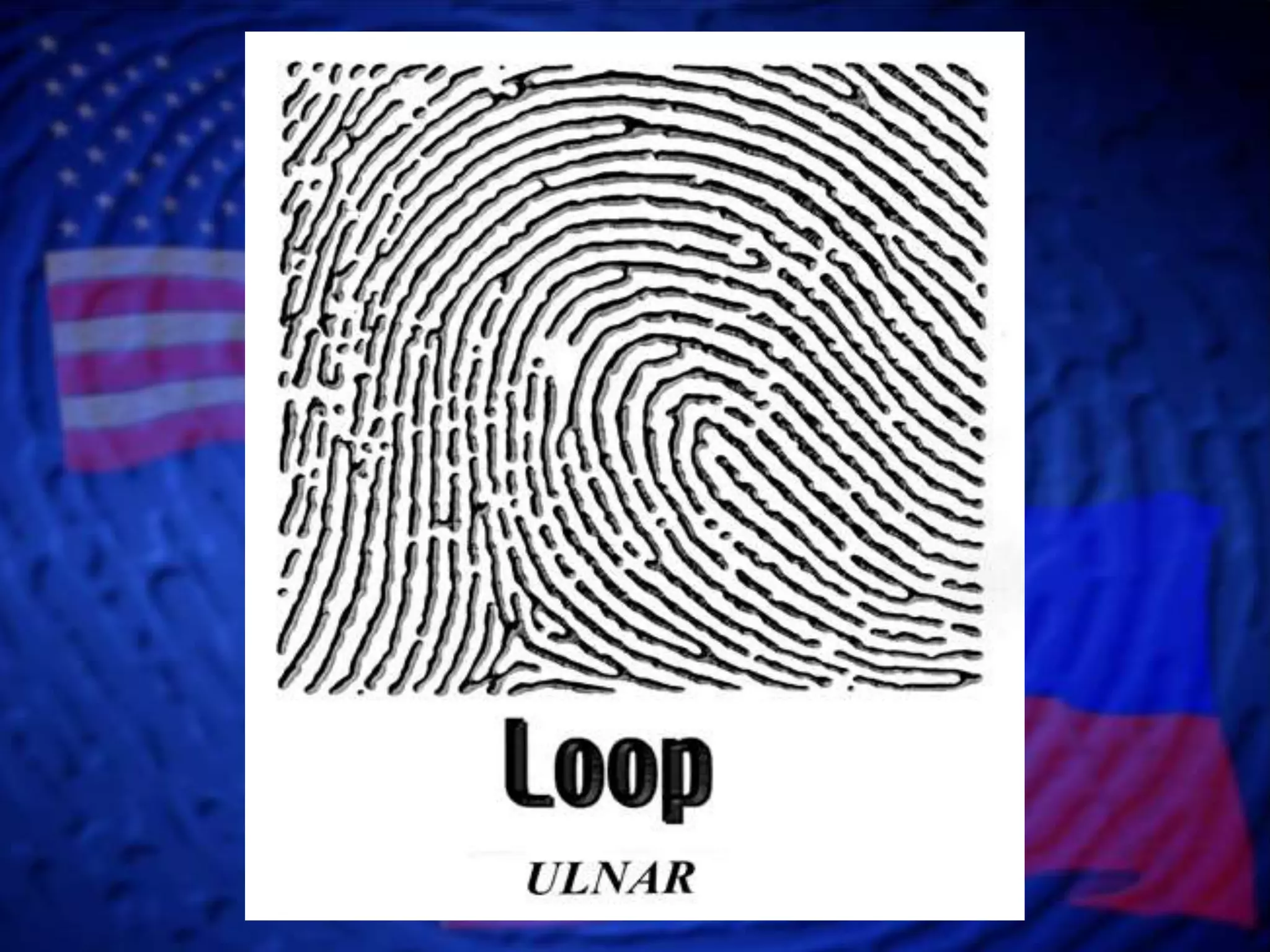 Fingerprint Classification- Loop Patterns | PPTX