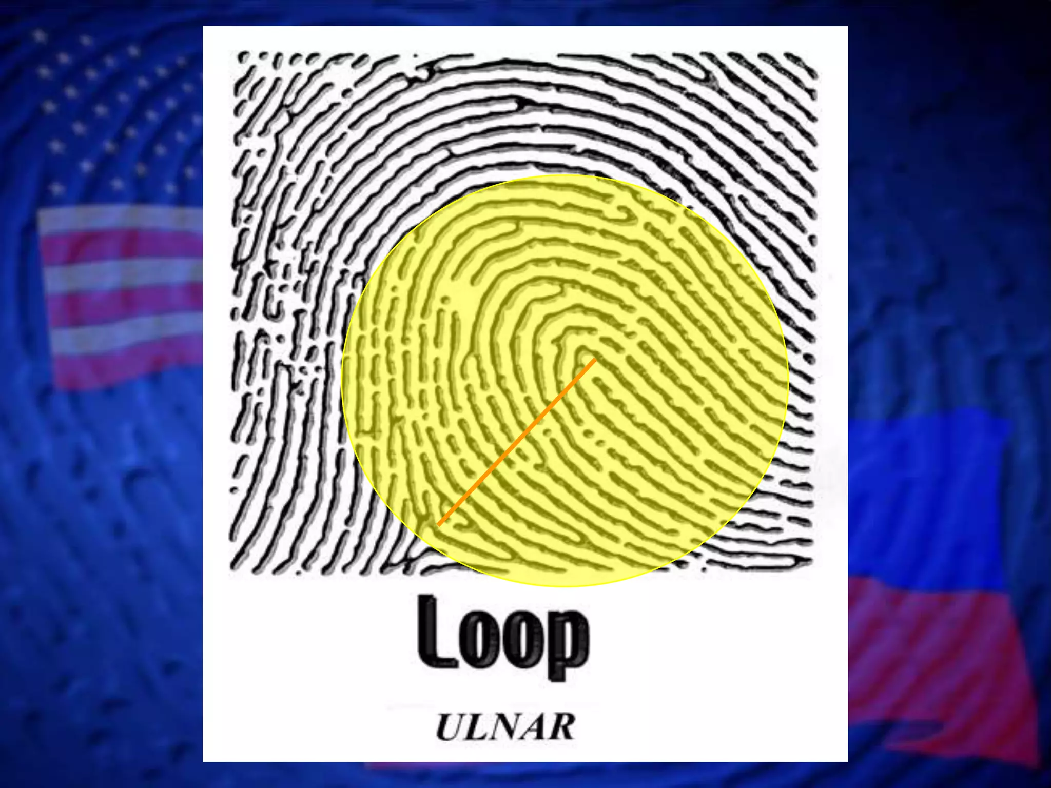 Fingerprint Classification- Loop Patterns | PPTX