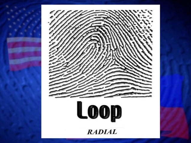 Fingerprint Classification- Loop Patterns | PPTX