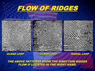 Fingerprint Classification- Loop Patterns | PPTX