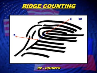Fingerprint Classification- Loop Patterns | PPTX