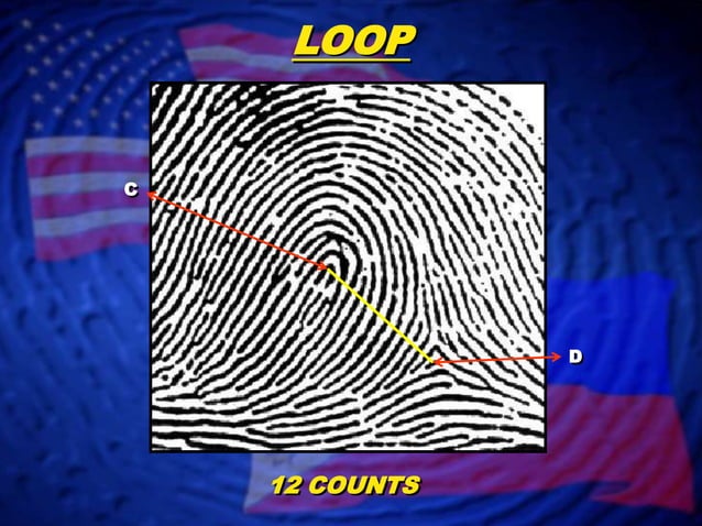 Fingerprint Classification- Loop Patterns | PPTX