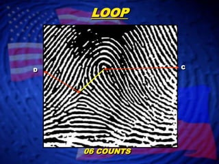 Fingerprint Classification- Loop Patterns | PPTX