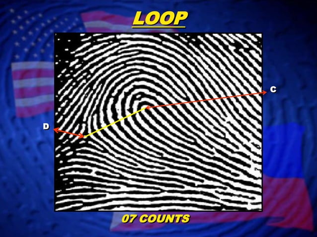 Fingerprint Classification- Loop Patterns | PPTX