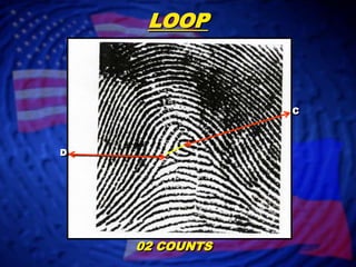 Fingerprint Classification- Loop Patterns | PPTX