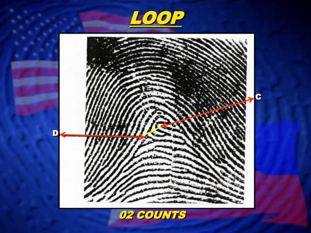Fingerprint Classification- Loop Patterns | PPTX