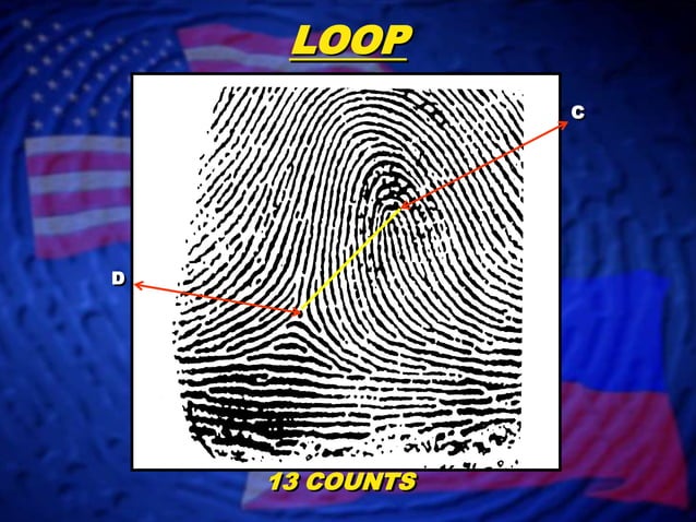Fingerprint Classification- Loop Patterns | PPTX