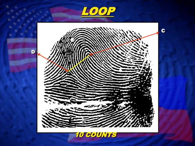 Fingerprint Classification- Loop Patterns | PPTX