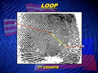 Fingerprint Classification- Loop Patterns | PPTX