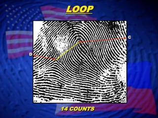 Fingerprint Classification- Loop Patterns | PPTX