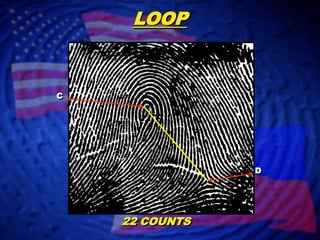 Fingerprint Classification- Loop Patterns | PPTX