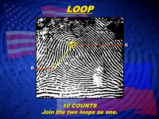 Fingerprint Classification- Loop Patterns | PPTX
