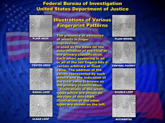 Fingerprint Classification- Loop Patterns | PPTX
