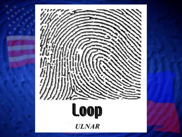 Fingerprint Classification- Loop Patterns | PPTX