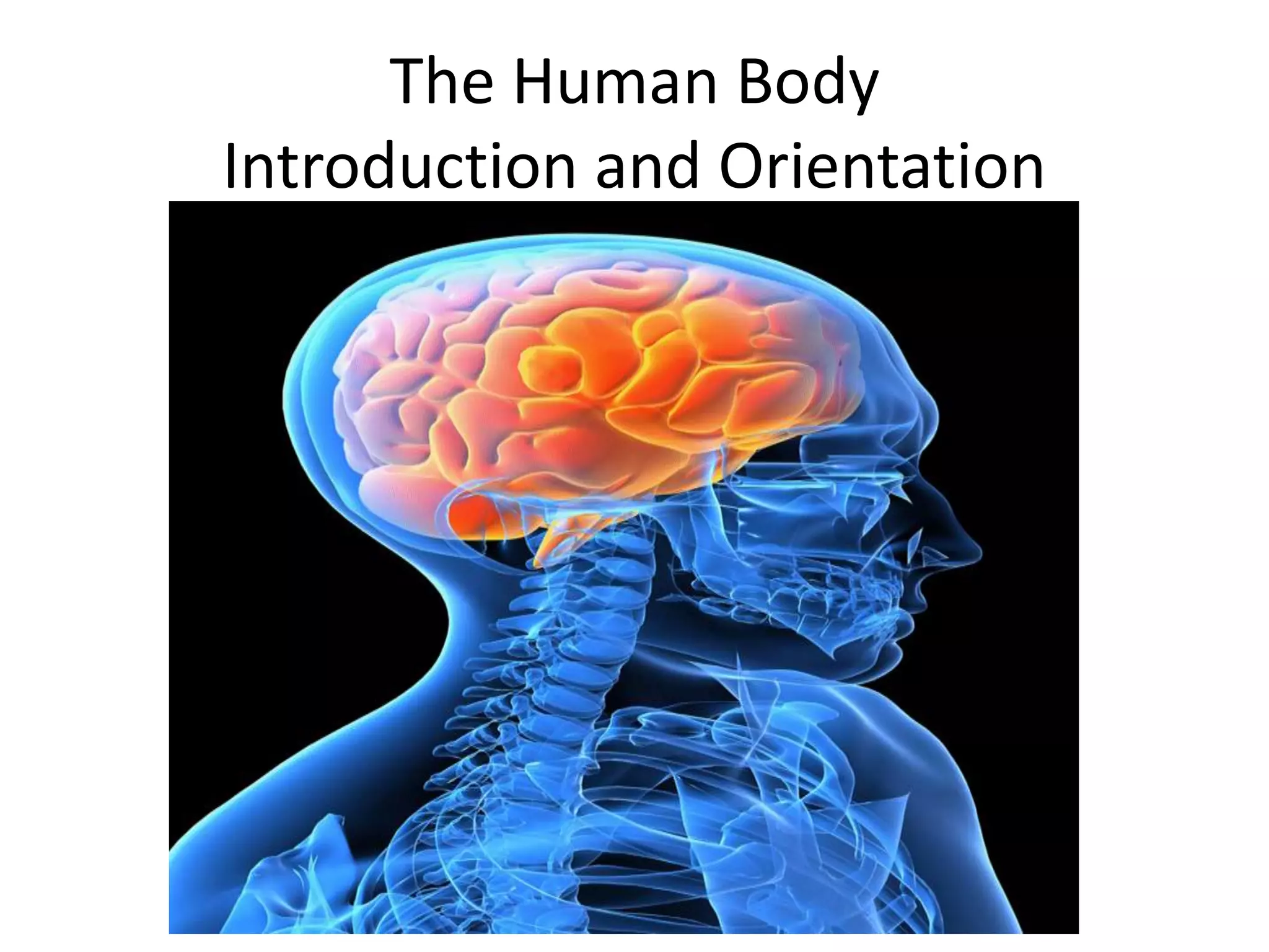 1 A The Human Body Intro.ppt