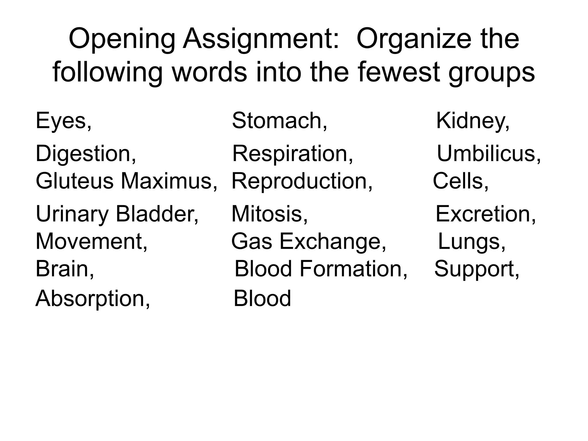 1 A The Human Body Intro.ppt