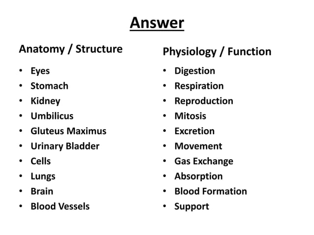 1 A The Human Body Intro.ppt