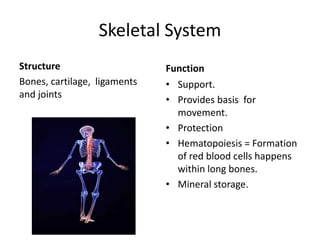 1 A The Human Body Intro.ppt