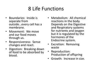 1 A The Human Body Introduction/Terminologies | PPT | Endocrine and ...