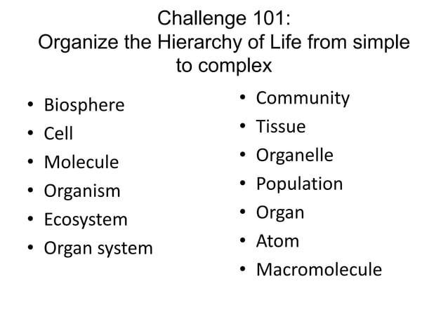 1 A The Human Body Introduction/Terminologies | PPT | Endocrine and ...