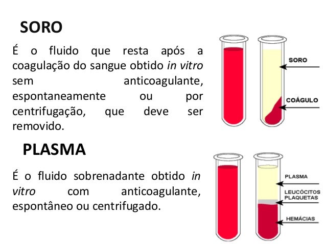 Aula 7 - Meio interno e proteínas plasmáticas