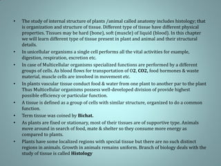 Tissue system by kishan kumar m. SC lnmu. | PPT