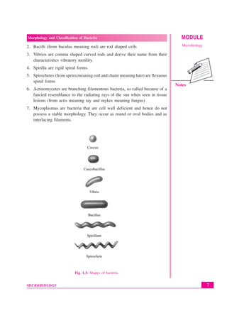CLASSIFY BACTERIA | PDF