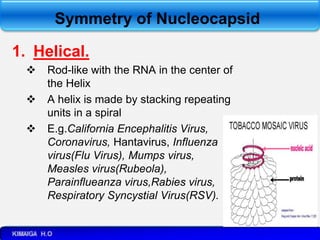1B. INTRODUCTION TO VIROLOGY.pptx