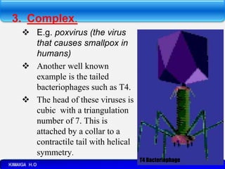 1B. INTRODUCTION TO VIROLOGY.pptx
