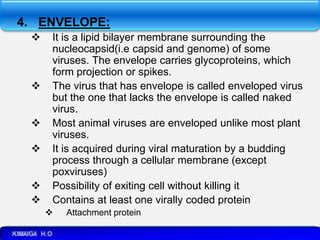 1B. INTRODUCTION TO VIROLOGY.pptx