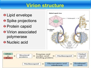 1B. INTRODUCTION TO VIROLOGY.pptx